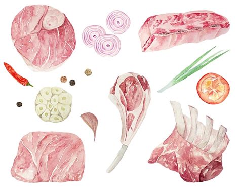 Premium Vector Watercolor Composition With A Various Raw Meat Beef