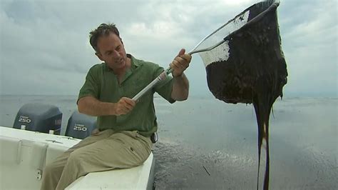 15 Years After Bp Oil Spill Marine Recovery On Louisiana Coast Brings