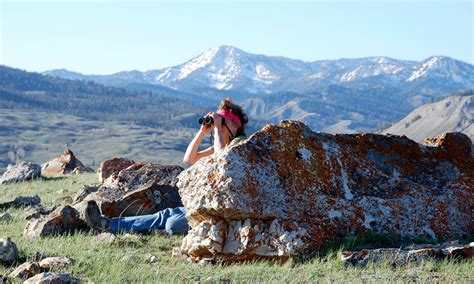 Nature Mapping Tips Jackson Hole Wildlife Foundation