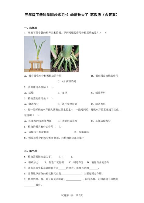 苏教版（2017秋）科学 三年级下册 12幼苗长大了 同步练习（含答案） 21世纪教育网