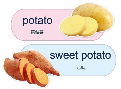 國語週刊 美語abc月刊 「馬鈴薯」英文是potato，複數則是在字尾加上es，變成potatoes。 地瓜嚐起來比馬鈴薯甜，它的英文是： Sweet 甜的 加上 Potato 馬鈴薯