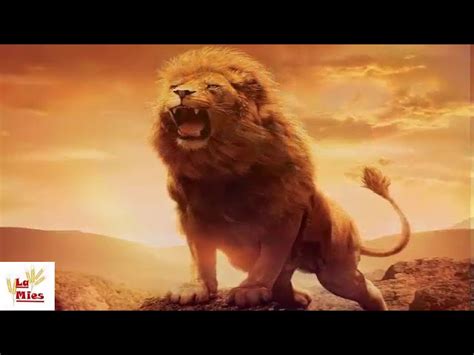 Ruge El León El Fuego De Su Presencia Letras Acordes Chordify
