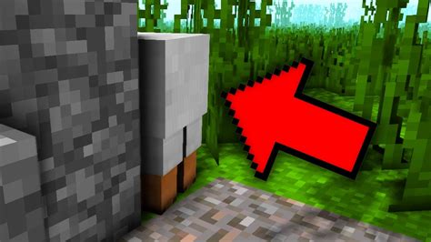 Minecraft Gdzie Jest Owca Youtube