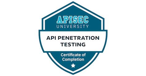facundo fernandez on linkedin api penetration testing was issued by