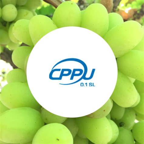 Cppu 01 Sl 1 L Outlet Anasac