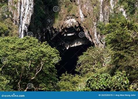 Deer Cave Entrance Cliff Stock Photo Image Of Malaysia 262520370