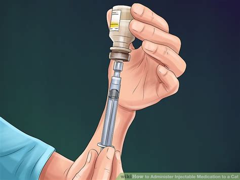 How To Administer Injectable Medication To A Cat 11 Steps