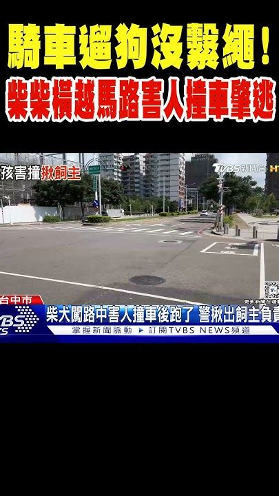 騎車遛狗沒繫繩 柴柴橫越馬路害人撞車肇逃 Shorts｜tvbs新聞 Tvbsnews01 Youtube