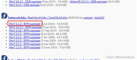 Iperf Csdn