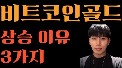 비트코인골드 상승한다고 말씀드렸죠 비트코인골드 비트코인골드전망 Youtube