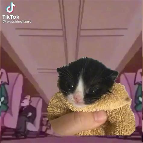 Tik Tok Video For The Funny R Jschlatt