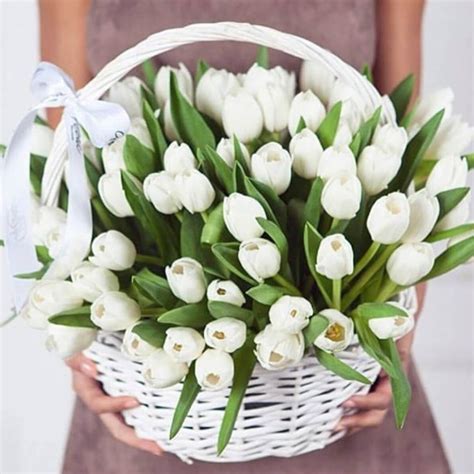 Купить цветы в Москве с доставкой недорого - Roses Delivery