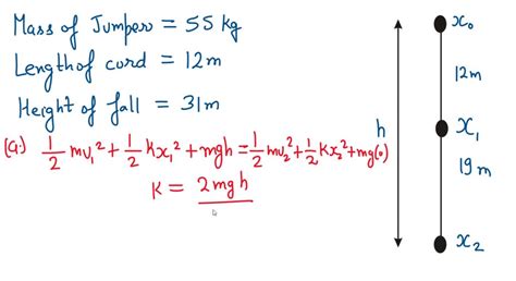 Solveda Bungee Jumper Having A Mass Of 55 Kg Leaps From A Bridge