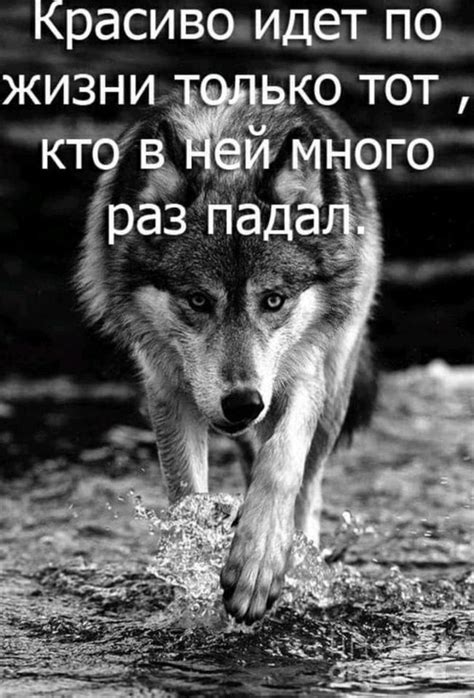 Pin Von Aniuar Auf Мотивация Zitate Wikinger Krieger Sprüche
