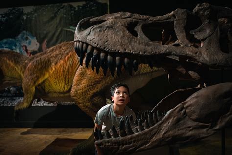 Dinosaur Revolution Horniman Museum And Gardens