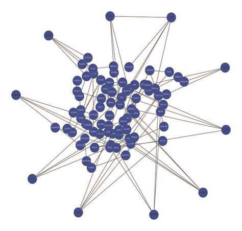 Network Visualization Of The Top Modules Identifies Ad Hub Genes Based Download Scientific