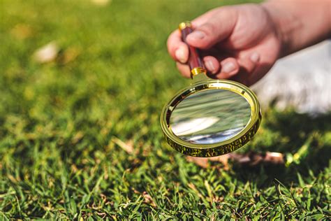 Science Experiment Concept Combining Suns Rays Through Magnifying
