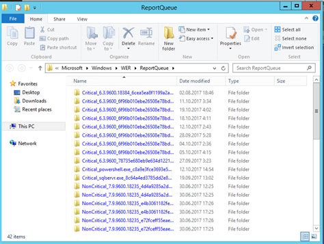 c programdata microsoft windows wer reportarchive