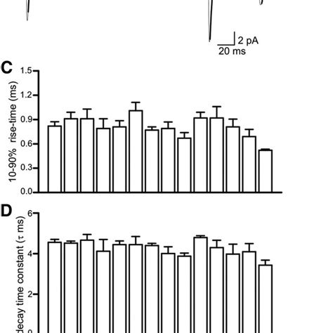 The Arcap 2 Interaction Regulates Ampar Mediated Synaptic Currents