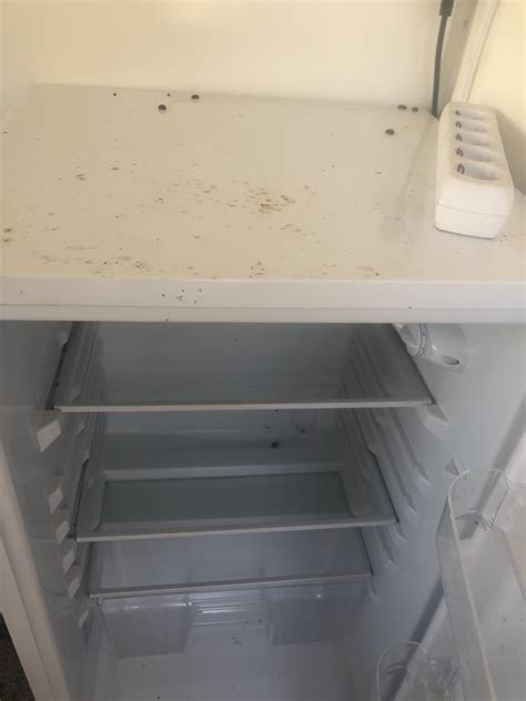Er Dette Svart Muggsopp Bilder Hus Og Hage Kvinneguiden Forum