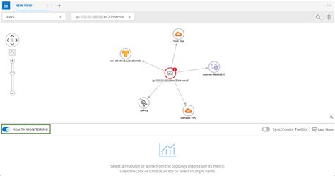 Health Monitoring Opsramp Documentation