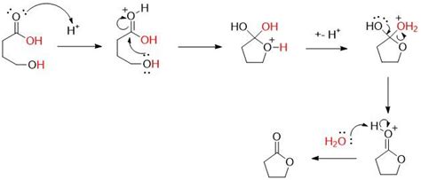 When 4 Hydroxybutanoic Acid Is Treated With An Acid Catalyst Quizlet