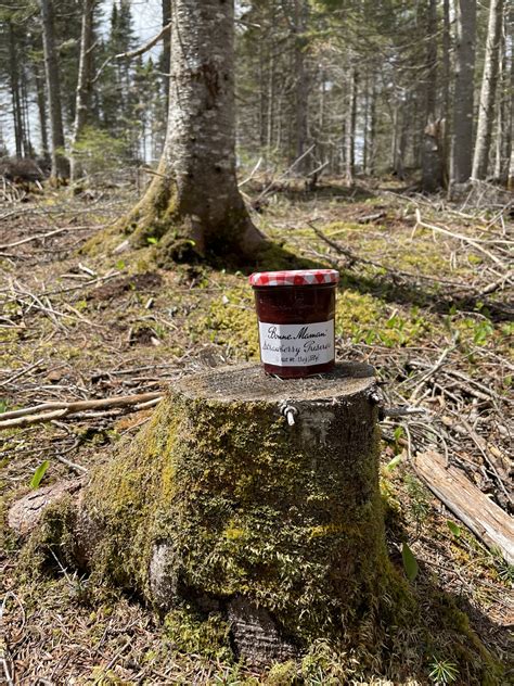Excessive Dds And The Eudr Mx Wood Practical Solutions To Green