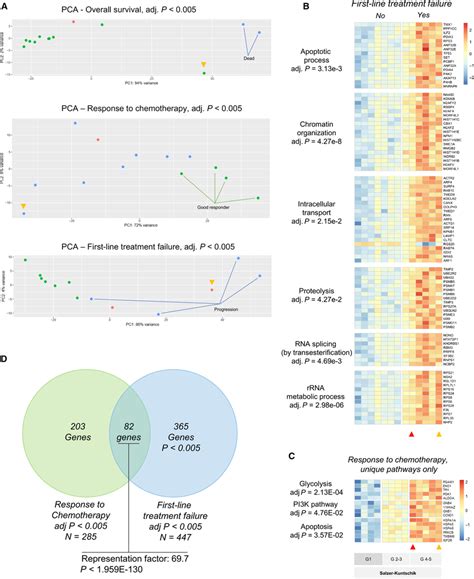 Differentially Expressed Genes And Pathways In Ewing Sarcomas A