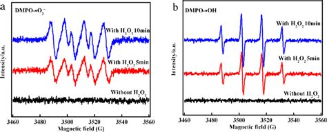 A Dmpo Spin Trapping Epr Spectra Of Dmpo • O 2 − In Methanol Download Scientific Diagram