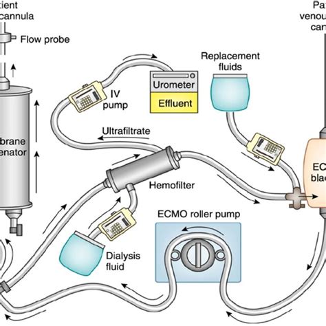 Pediatric Studies Of Ecmo And Rst Download Table
