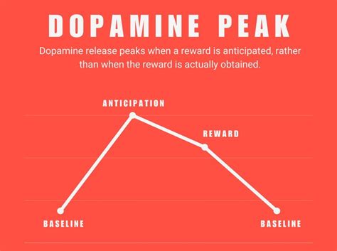 The Dopamine Delusion Why Anticipation Beats Achievement