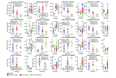 Placental Mirna Expression Quantitative Trait Loci Mir Eqtls Download Scientific Diagram