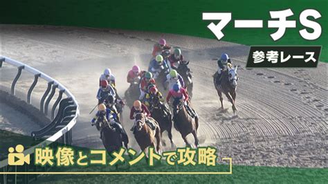 マーチsgiii2024 参考レース 競馬予想動画 Netkeiba
