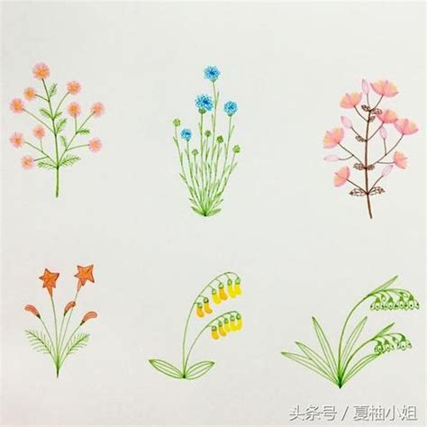 春天简笔画图片大全花草类 春天简笔画图片大全花草类图 画趣文库（我爱生活）