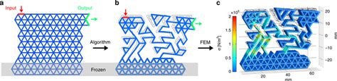 Schematic Of Automatic Structure Generation A The Initial Triangular