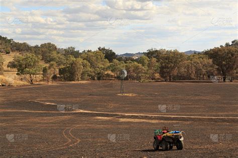 自然灾害灌木丛火灾考拉爬山四驱车森林火灾数字4草地围场新南威尔士水平画幅圣诞节