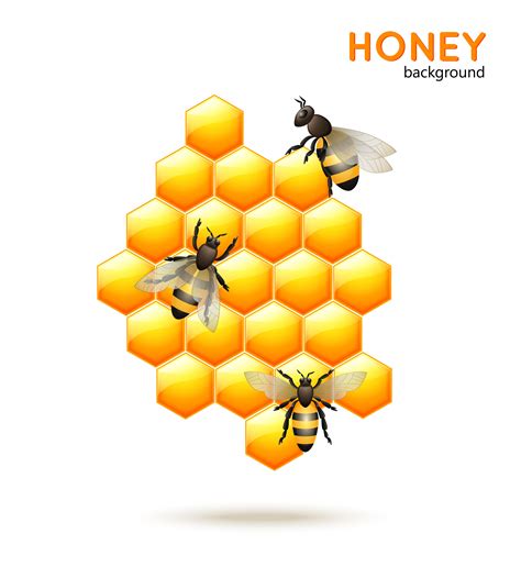 Honey Bee Background 460510 Vector Art At Vecteezy
