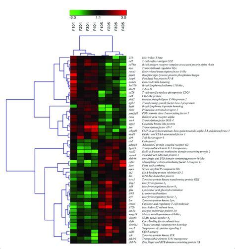 hierarchical clustering analysis of degs associated with mononuclear