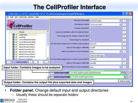 Cellprofiler Analyst Rules Explained Format Ryteindian