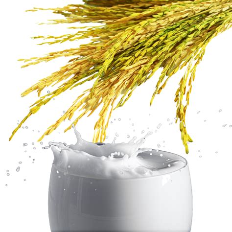 สารสกัดนมข้าว Rice Milk Extract