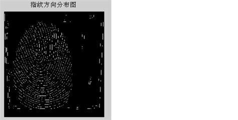 【老生谈算法】基于matlab指纹识别系统设计与算法原理详解（论文程序源码）——指纹识别声音指纹技术 Matlab Csdn博客