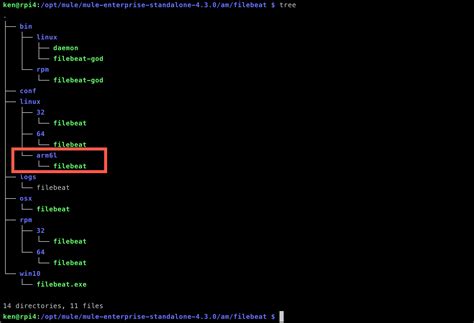 Mulesoft Anypoint Monitoring And Mule On A Raspberry Pi
