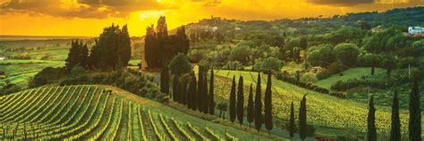 Culinary Compass Tours