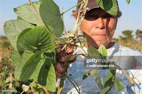 Giz Photos And Premium High Res Pictures Getty Images