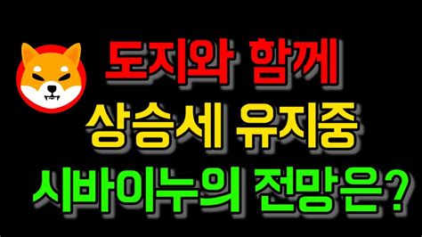 시바이누 밈코인 쭉쭉 상승세 유지중 Youtube