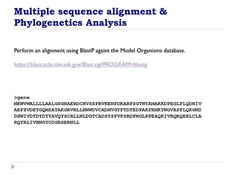 multiple sequence alignment and phylogenetics analysis ppt download