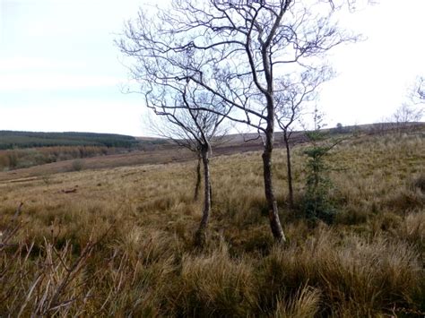 Cornavarrow Townland Kenneth Allen Cc By Sa Geograph Ireland