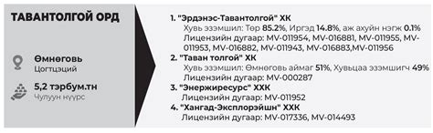 “Баавгай” нь ч байхгүй Баялгийн сангийн “арьсыг нь арав хуваана гэнэ үү