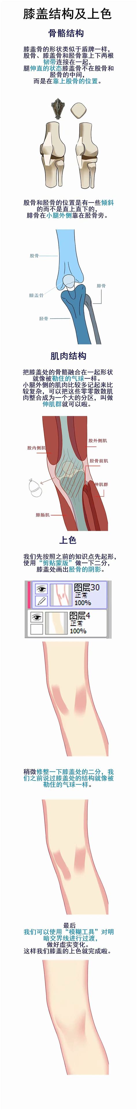 初学者绘画教程