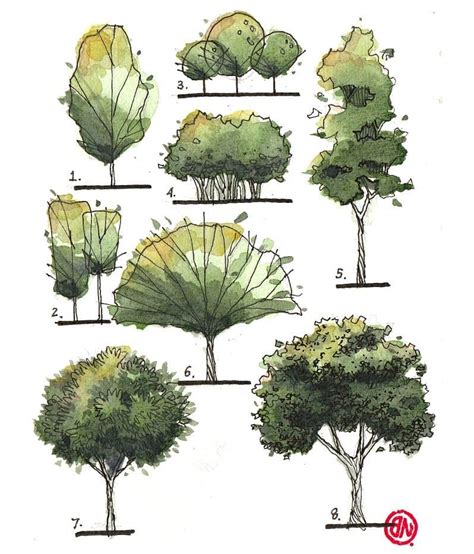 Drawing Trees Architecture